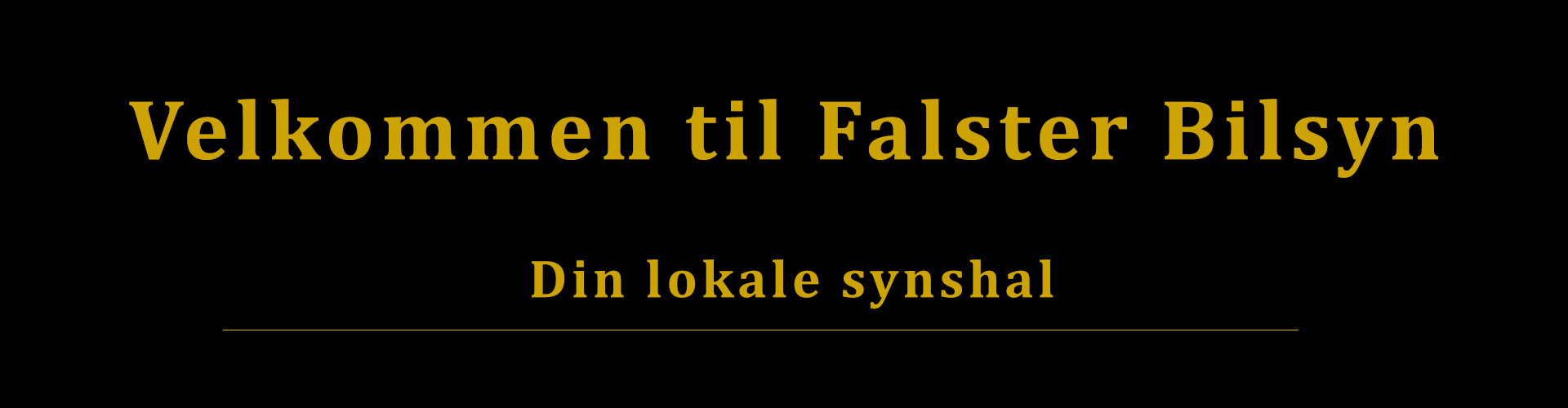falsterbilsyn.dk